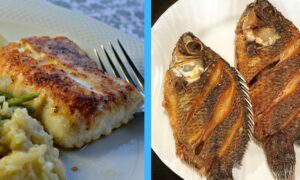 Tilapia vs Haddock | Similarities & Differences